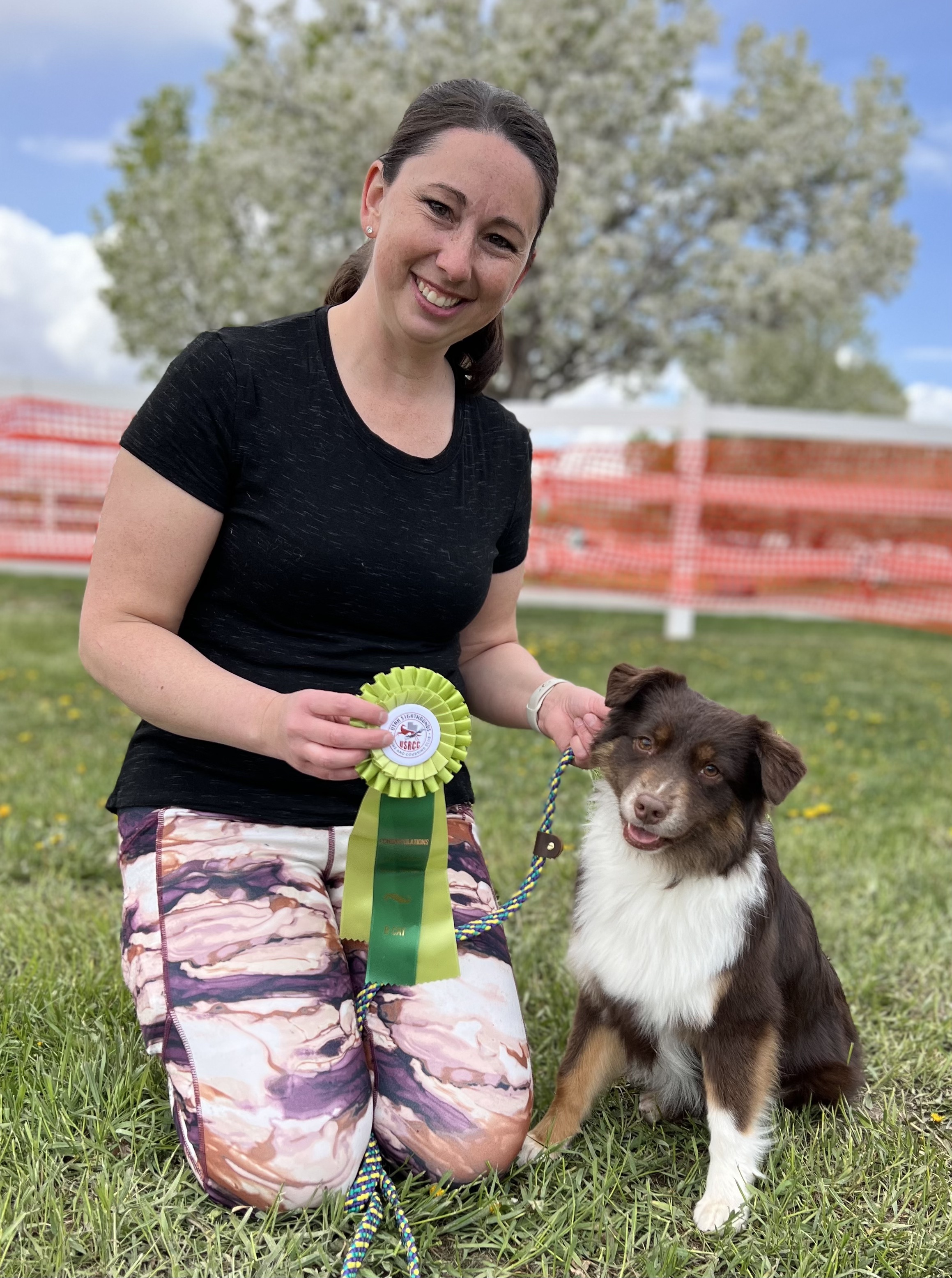 Titles and Accomplishments – Mtn Breeze Miniature American Shepherds